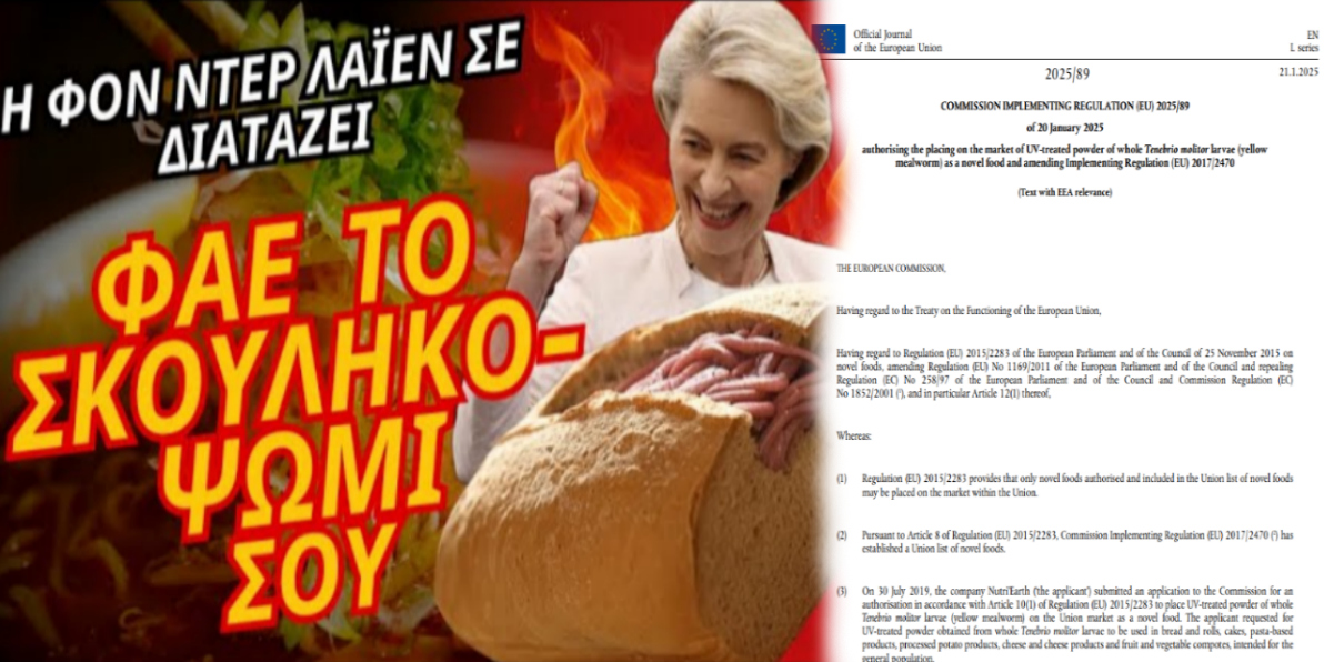 Έρχεται το ψωμί από σκουλήκια σε όλη την ΕΕ και στην Ελλάδα, σύμφωνα με ...